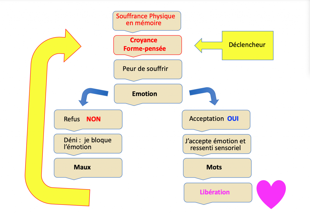 Contrôler ou maitriser ses émotions - Détachement Emotionnel Express®